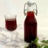Homemade Creme de Cassis | EmilyFabulous
