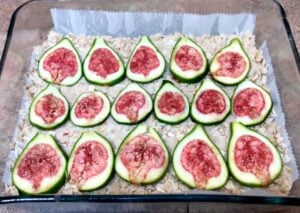 Oatmeal Fig Bars with Coconut | Fig Jam | EmilyFabulous