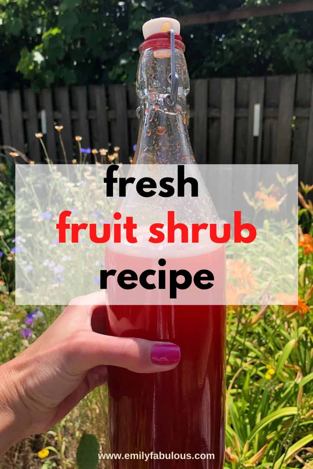 Fresh Fruit Shrub Recipe | EmilyFabulous