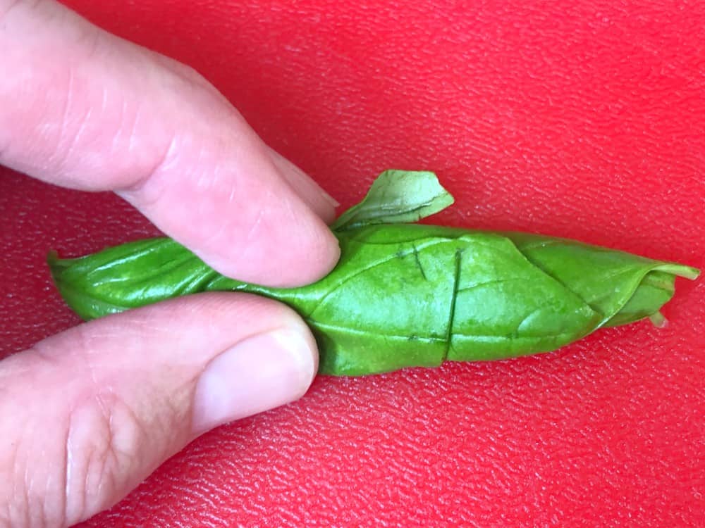 Air Fryer Bruschetta | EmilyFabulous