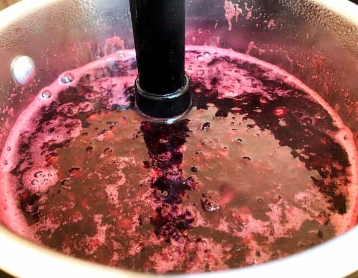 Huckleberry Syrup | EmilyFabulous