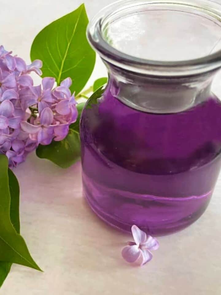 Huckleberry Syrup | EmilyFabulous