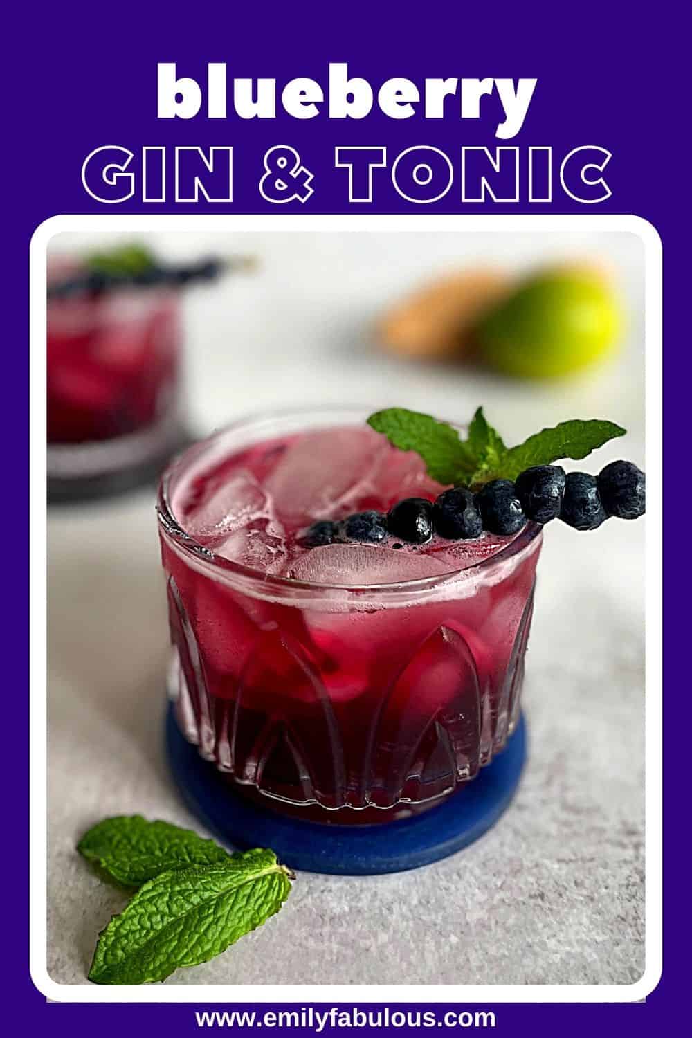 Blueberry Gin and Tonic | EmilyFabulous